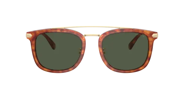COACH Sunglasses - Army Green