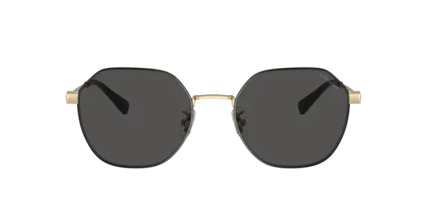 COACH Sunglasses With Full Rim - Grey Solid