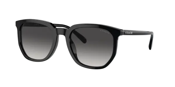 COACH Sunglasses - Grey Gradient