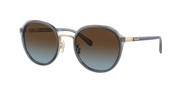 COACH Sunglasses - Brown Blue Gradient