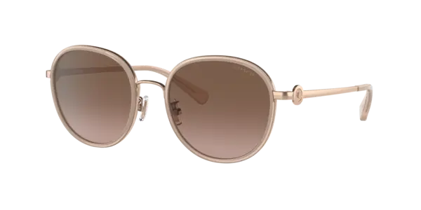 COACH Sunglasses - Brown Pink Gradient