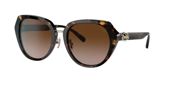 COACH Sunglasses - Brown Gradient