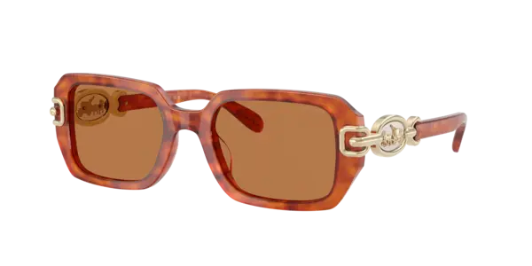 COACH Sunglasses - Amber Solid