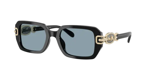 COACH Sunglasses - Blue Solid