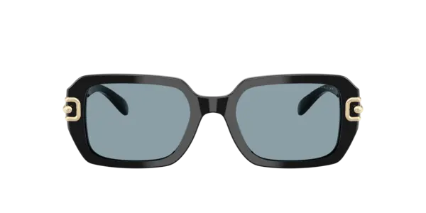 COACH Sunglass Cad74