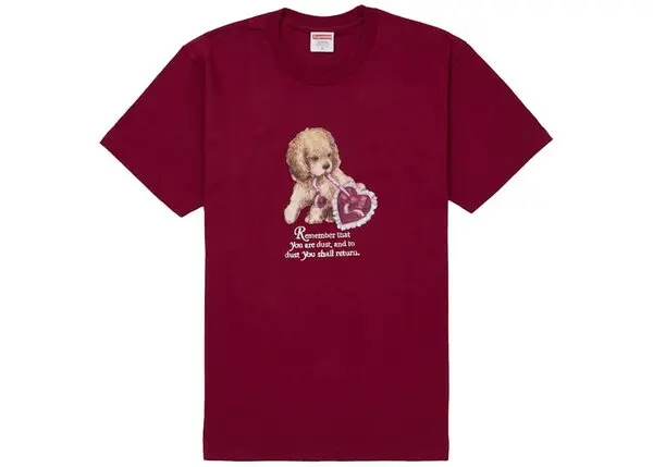 Supreme Dust Tee Shirt - Cardinal