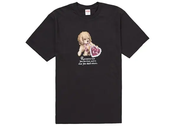 Supreme Dust Tee Shirt - Black