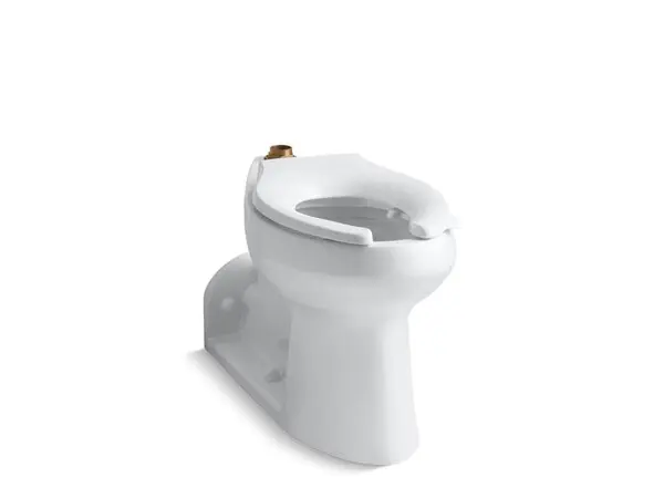 KOHLER Anglesey Floor-mount Top Spud Flushometer Bowl With Bedpan Lugs - One-color