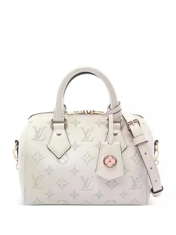 LOUIS VUITTON 2010s Speedy Handbag
