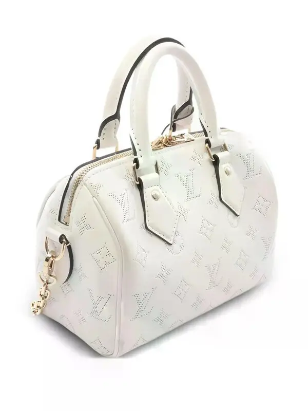 LOUIS VUITTON 2010s Speedy Handbag