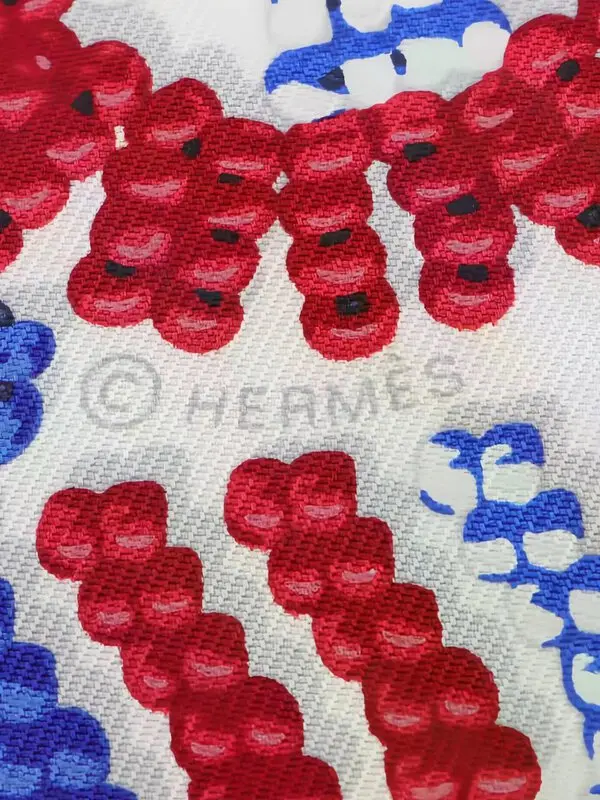 Hermès 2010s Carre Silk Scarf