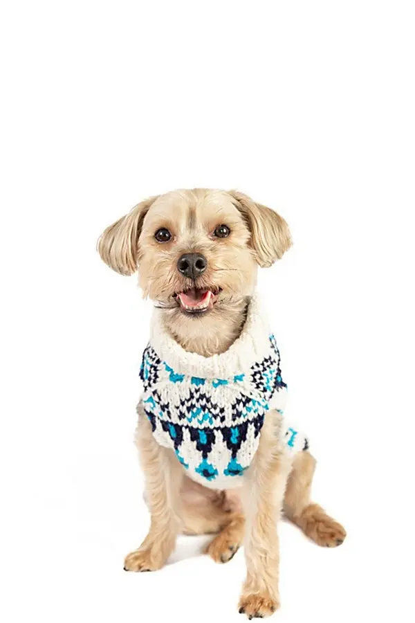 CHILLY DOG Coastal Cable Knit Dog Sweater