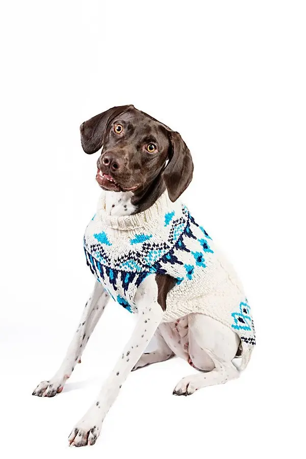 CHILLY DOG Coastal Cable Knit Dog Sweater