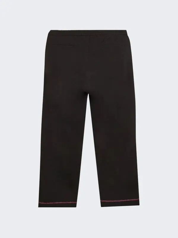 BAZISZT Eccentric Pant