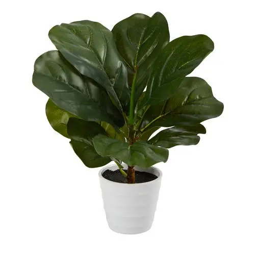 NEARLY NATURAL 11-in Fiddle Leaf Artificial Plant In White Planter - Green