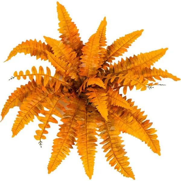 NEARLY NATURAL 19-in Autumn Artificial Fall Boston Fernset Of 6 - Orange