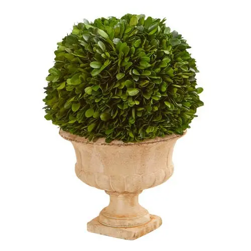 NEARLY NATURAL 12-in Boxwood Topiary Ball Preserved Plant In Decorative Urn - Green