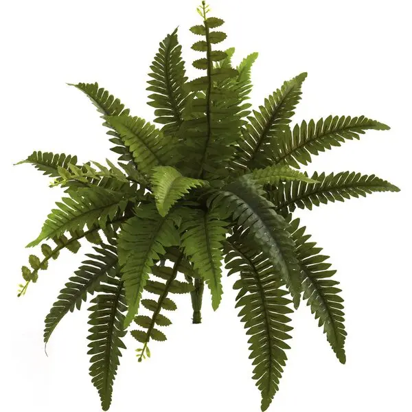 NEARLY NATURAL 14-in Boston Fern Artificial Plant - Green