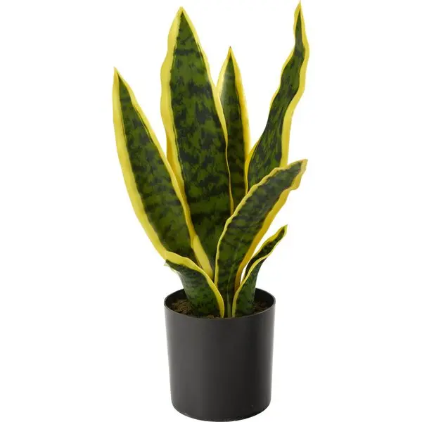 NEARLY NATURAL 14-in Artificial Sansevieria Snake Plant - Green
