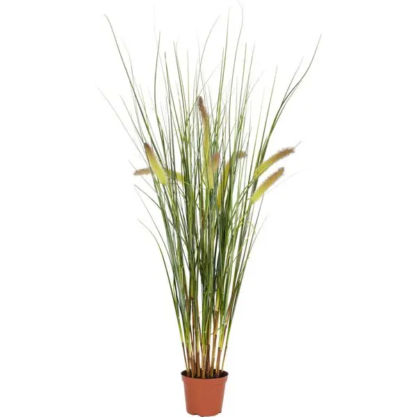 NEARLY NATURAL 2.5-ft Grass Plant