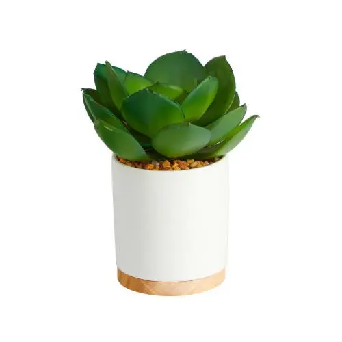 NEARLY NATURAL 6-in Succulent Artificial Plant In White Ceramic Planter - Green