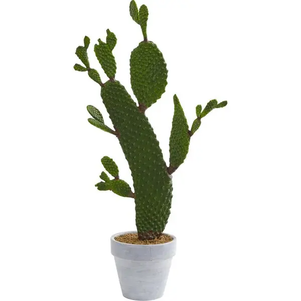 NEARLY NATURAL 27-in Cactus Artificial Plant - Green