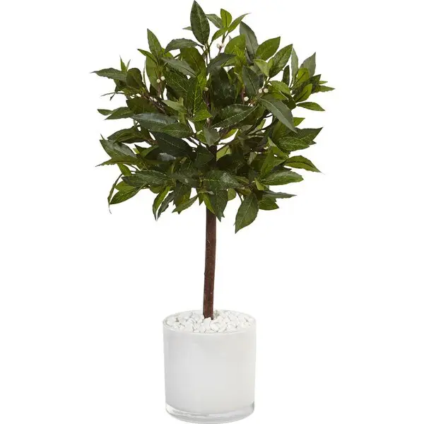 NEARLY NATURAL 2-ft Sweet Bay Artificial Tree In White Glossy Cylinder - Green