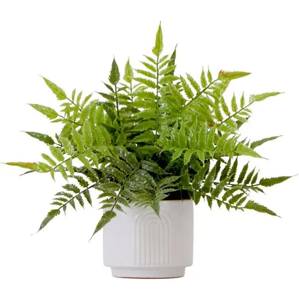 NEARLY NATURAL 13-in Artificial Boston Fern Plant With Decorative Planter - Green