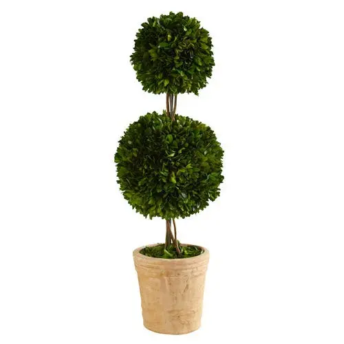 NEARLY NATURAL 2.5-ft Preserved Boxwood Double Ball Topiary Tree In Decorative Planter - Green