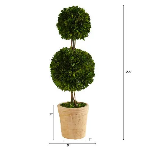 NEARLY NATURAL 2.5-ft Preserved Boxwood Double Ball Topiary Tree In Decorative Planter