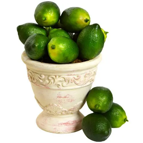 NEARLY NATURAL Faux Limes - Green