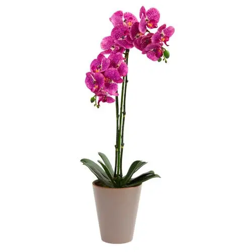 NEARLY NATURAL 24-in Speckled Phalaenopsis Artificial Arrangement - Orchid