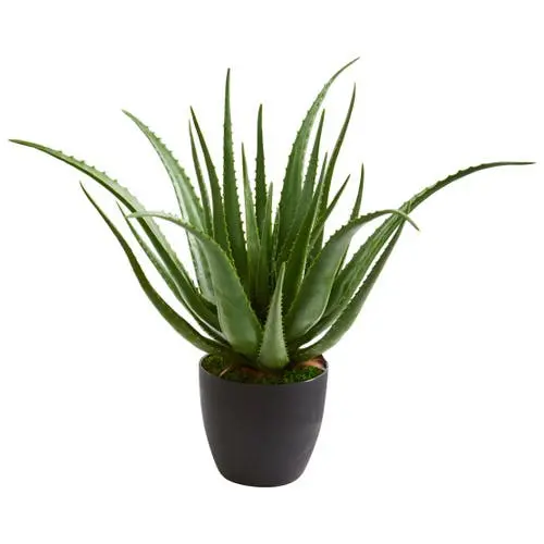 NEARLY NATURAL Aloe Artificial Plant