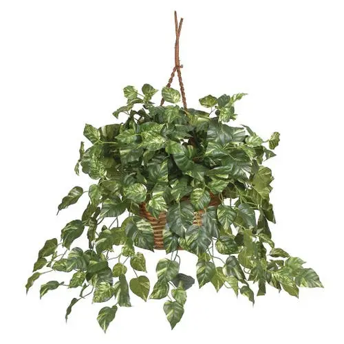 NEARLY NATURAL Pothos Hanging Basket Artificial Plant - Green