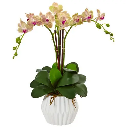 NEARLY NATURAL Phalaenopsis Orchid Artificial Arrangement In White Vase - Cream/orchid
