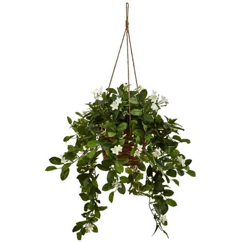 NEARLY NATURAL Mixed Stephanotis Hanging Basket - Green