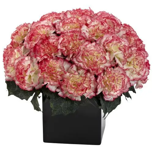 NEARLY NATURAL Carnation Arrangement W/vase Cream Pink - Cream/pink