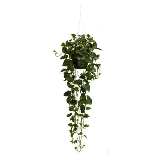 NEARLY NATURAL Philodendron Hanging Basket Artificial Plant - Green