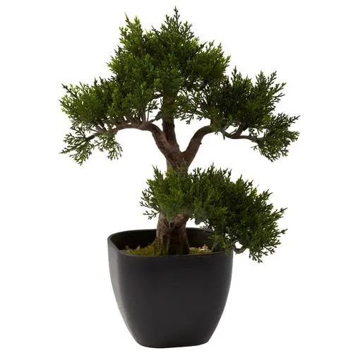 NEARLY NATURAL 15-in Cedar Bonsai - Green