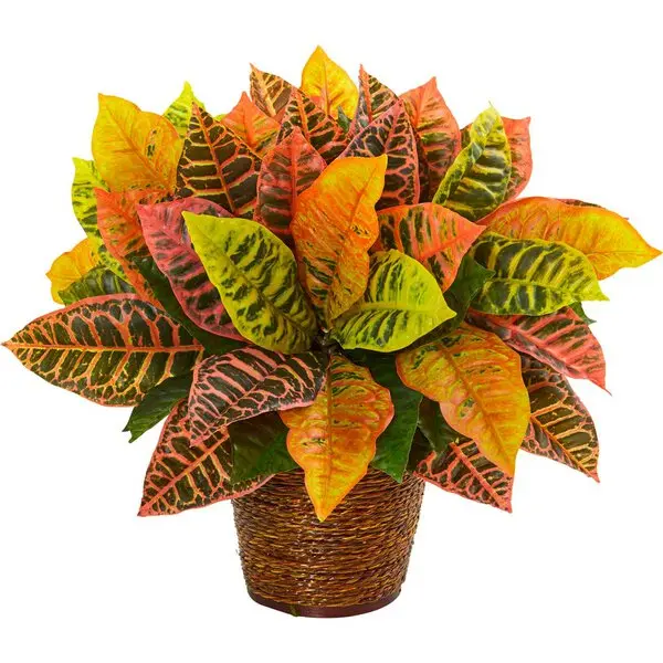 NEARLY NATURAL 17-in Garden Croton Artificial Plant In Basket - Orange