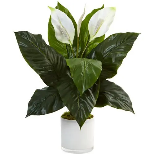 NEARLY NATURAL Spathiphyllum Artificial Flowering Peace Lily In Glossy Glass Planter - Green