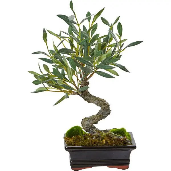 NEARLY NATURAL Mini Olive Artificial Bonsai Tree - Green