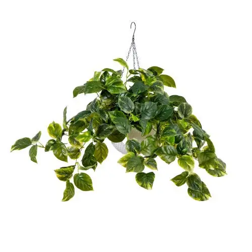 NEARLY NATURAL 24-inuv Resistant Artificial Pothos With 50 Warm White Led Lights In White Hanging Basket - Green