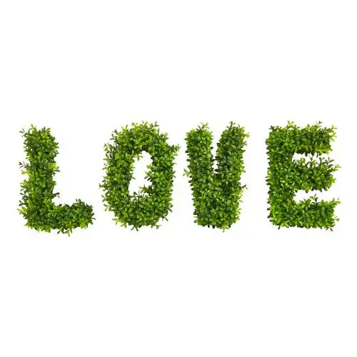 NEARLY NATURAL Love Boxwood Artificial Wall Decoration - Green