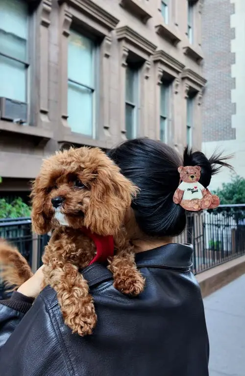 SOLAR ECLIPSE New York Teddy Bear Claw Clip