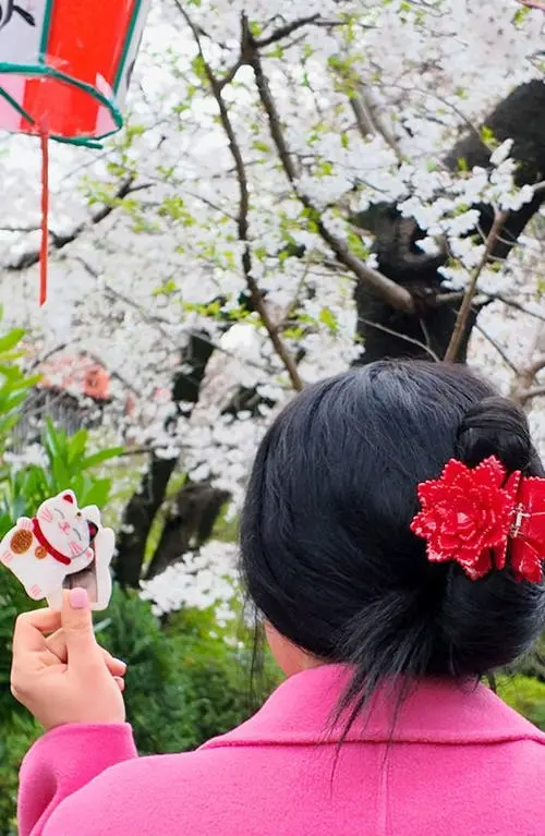 SOLAR ECLIPSE Gami Peony Flower Claw Clip