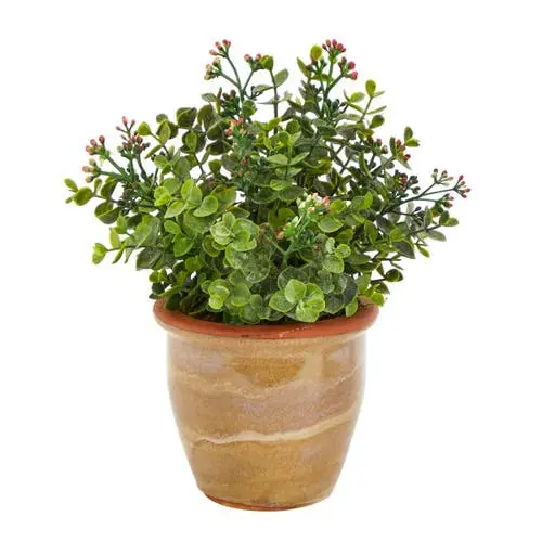 NEARLY NATURAL 10-in Eucalyptus And Sedum Succulent Artificial Plant In Ceramic Planter - Green