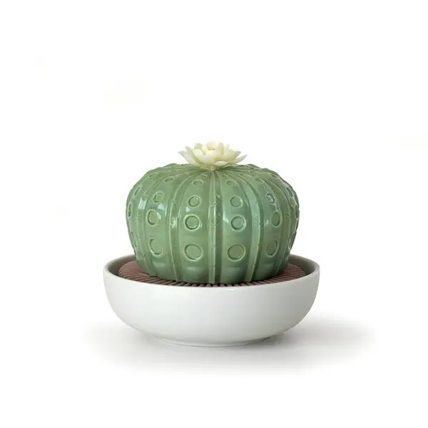 LLADRO Astrophytum Cactus Diffuser Gardens Of Valencia - Multi