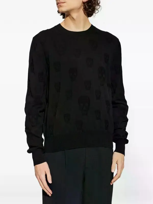 Alexander McQueen Skull-pattern Sweater