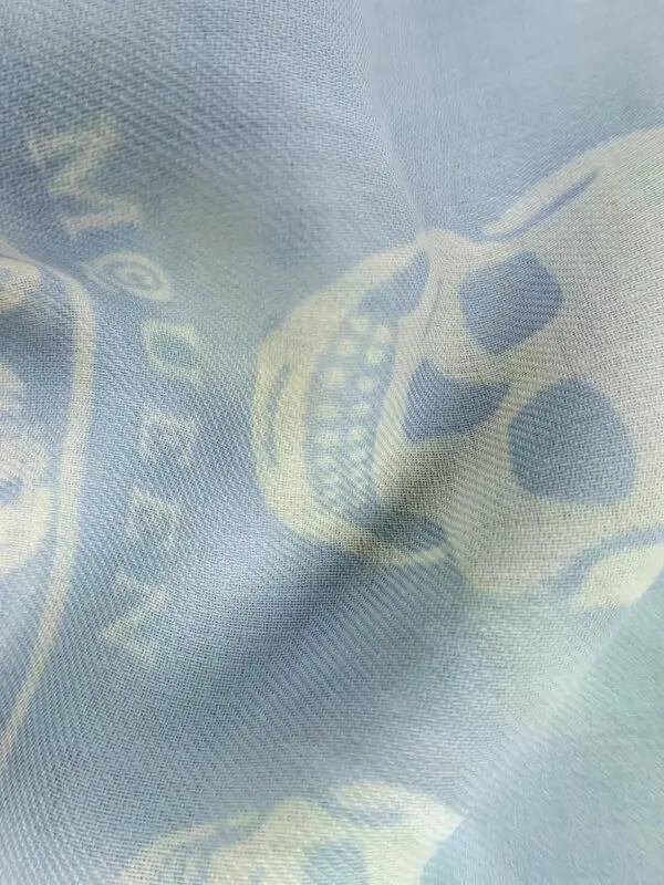 Alexander McQueen Skull Fringed Scarf - Blue